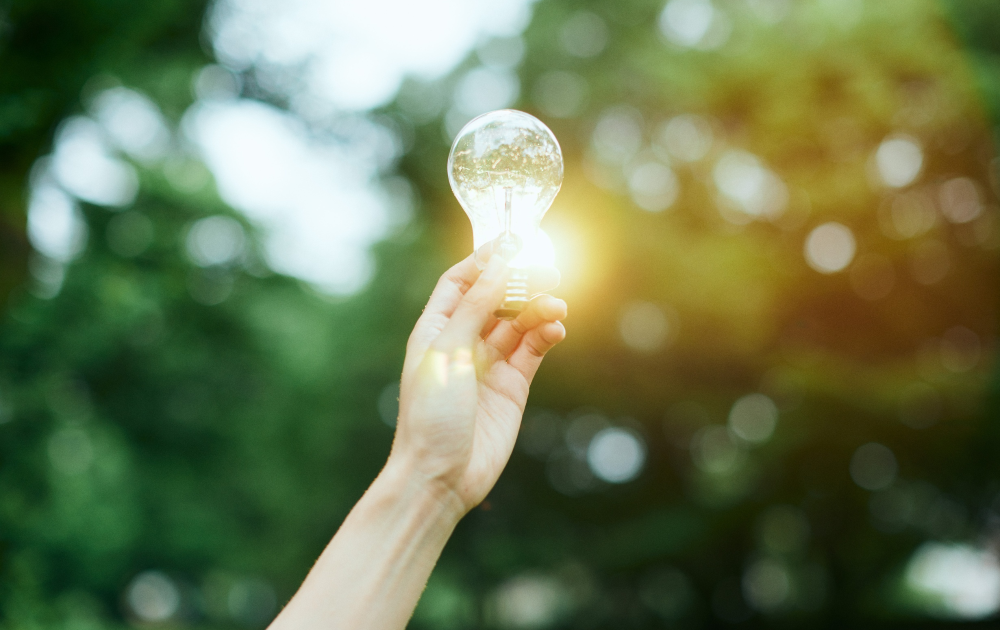 Green Innovation and Patent Protection in Indonesia